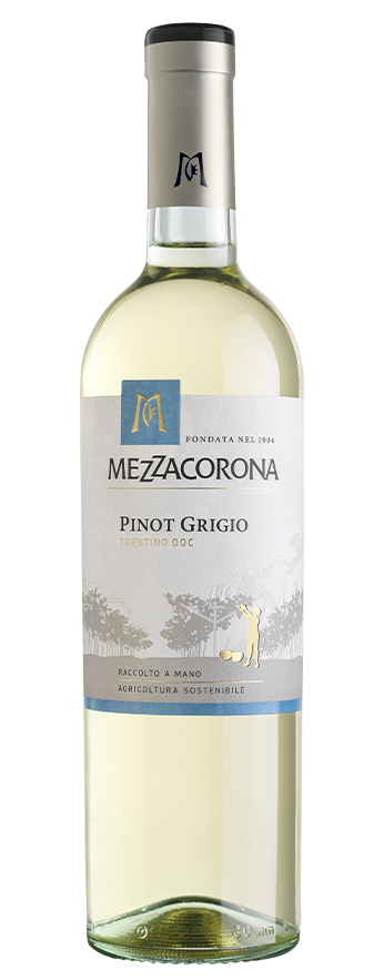 Pinot Grigio - Classici